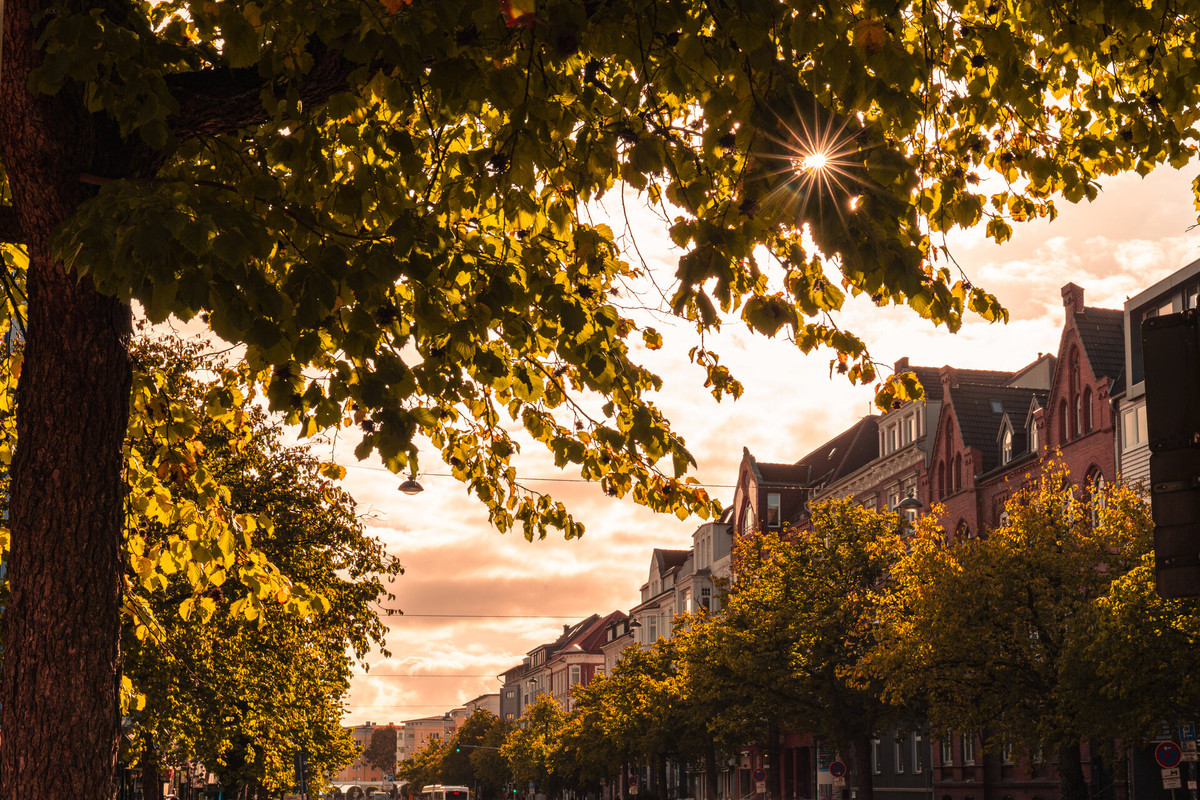 Holtenauer Straße - Shopping - Entdecken - Kiel Sailing City